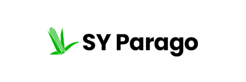 SY Parago - Variety Maíz | Syngenta
