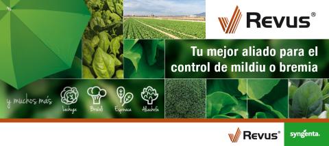 Fungicida Revus - Control de Mildu | Syngenta, agricultura responsable
