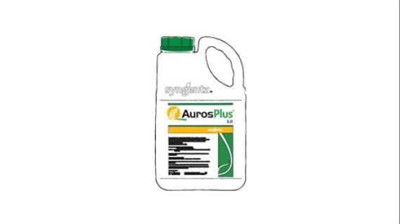 Seguridad y confianza de Auros Plus 3.0 | Syngenta